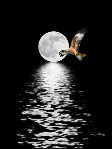 Eagle Flying Moon Stock Illustrations – 742 Eagle Flying Moon Stock ...