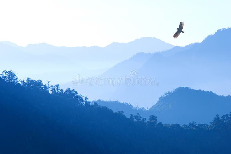 Eagle Flying Over Mountains