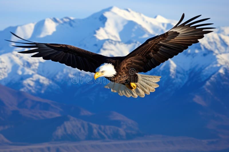Eagle Flying Over a Mountain Range Stock Photo - Image of nature ...