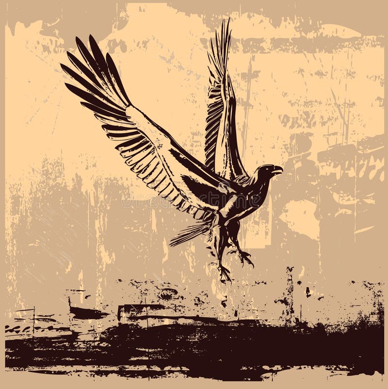 Eagle Shadow Stock Illustrations – 1,240 Eagle Shadow Stock ...
