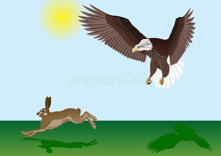 Running Eagle Stock Illustrations – 374 Running Eagle Stock ...