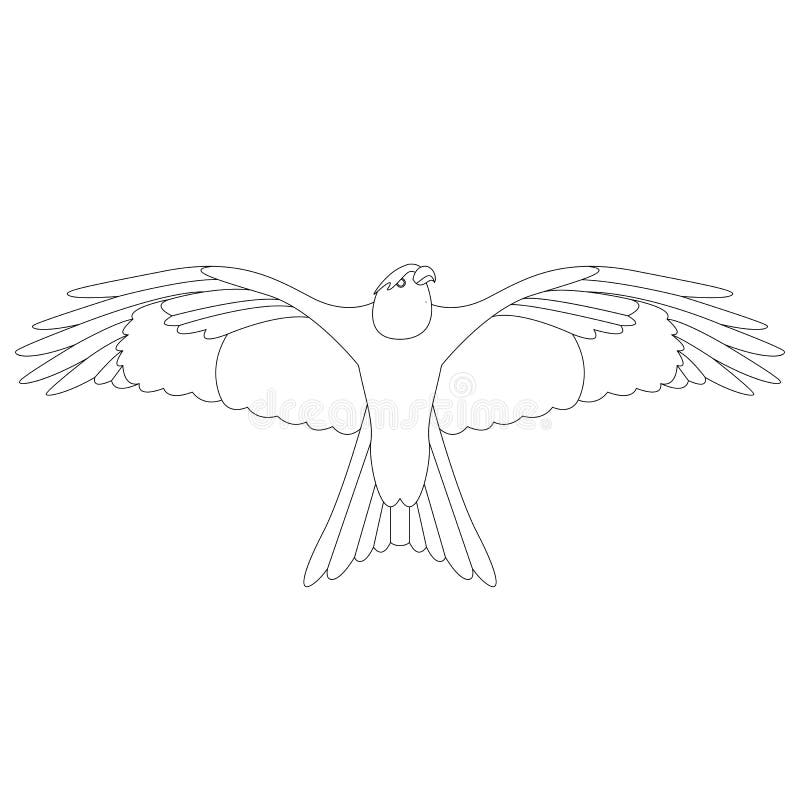 Eagle Hawk .vector Illustration,lining Draw , Front Stock Vector ...