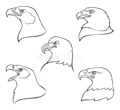 Eagle Head Collection Stock Illustrations – 1,934 Eagle Head Collection ...