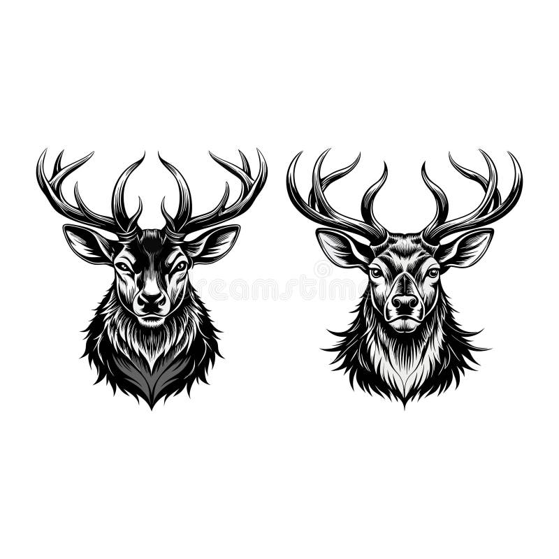 Stags Head Vector Illustration Stags Head Silhouette Stags Head Logo ...
