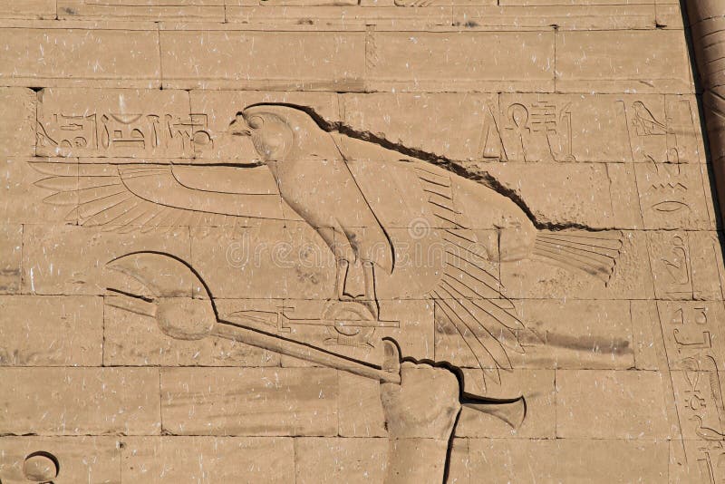 Eagle hieroglyph stock image. Image of temple, river - 12314565