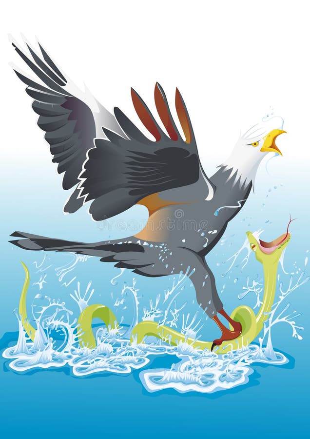 Bird Of Prey. Hunting For A Snake. Stock Vector - Illustration of ...
