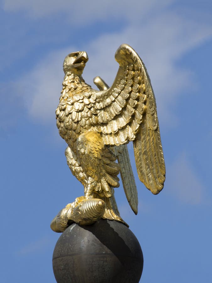 Aquila Imperiale In Bianco E Nero, Bello Ed Uccello Potente O Immagine ...