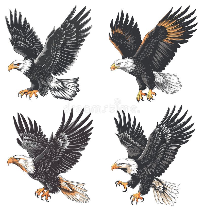 Eagle Isolated Element. Flying Bald Eagles Vector Illustration ...