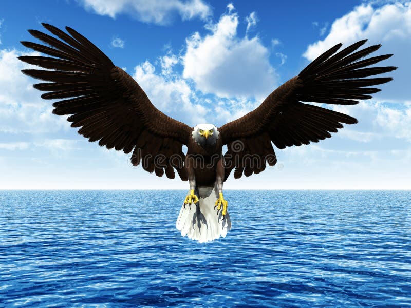 Eagle Landing Front View