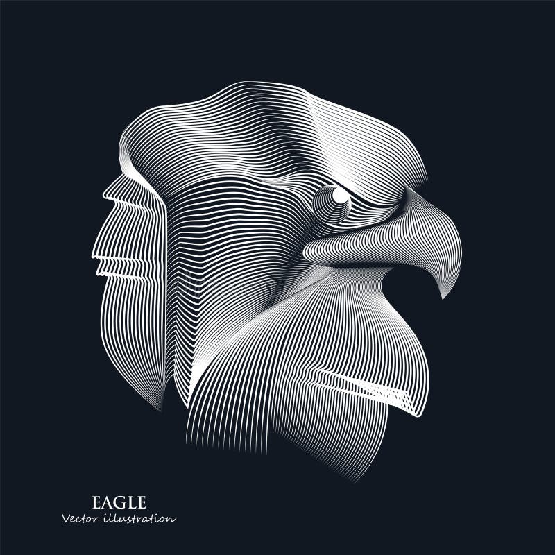 Eagle Line Art Vector Illustration Stock Vector - Illustration of ...