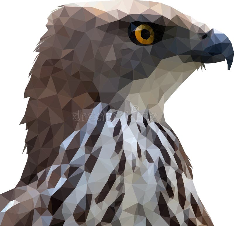 Polygon Eagle Stock Illustrations – 333 Polygon Eagle Stock ...