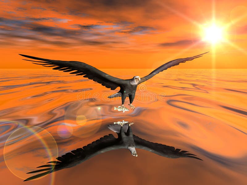 Eagle over water stock illustration. Illustration of zoology - 21201194