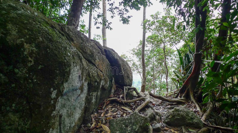 Engku Busu Stock Photos - Free & Royalty-Free Stock Photos from Dreamstime