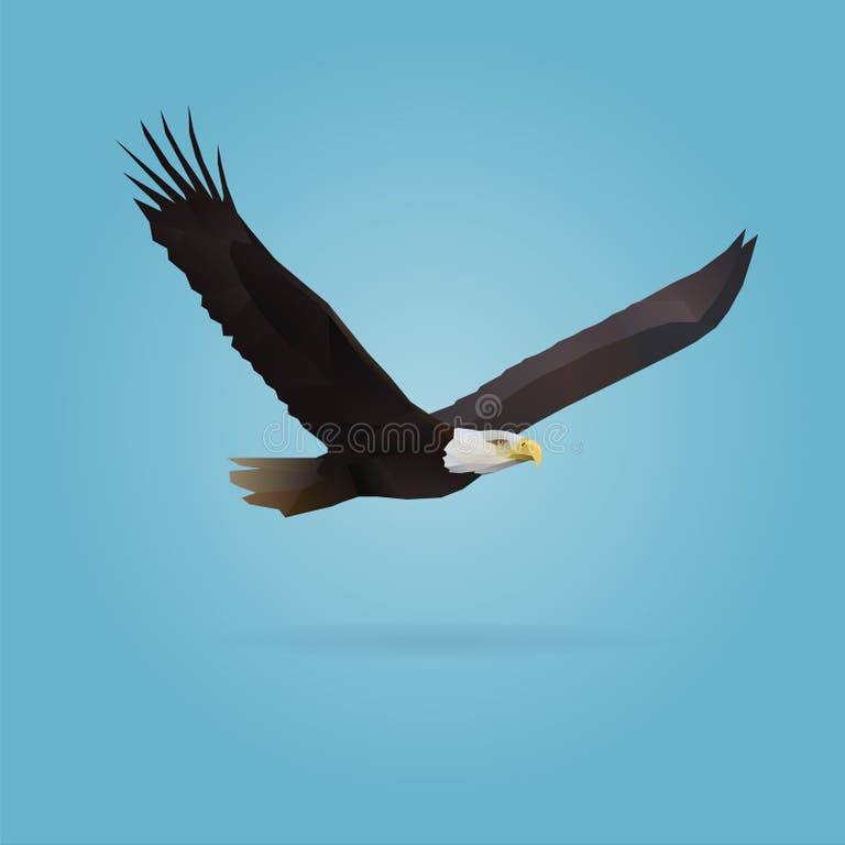 Eagle Shadow Stock Illustrations – 1,812 Eagle Shadow Stock ...