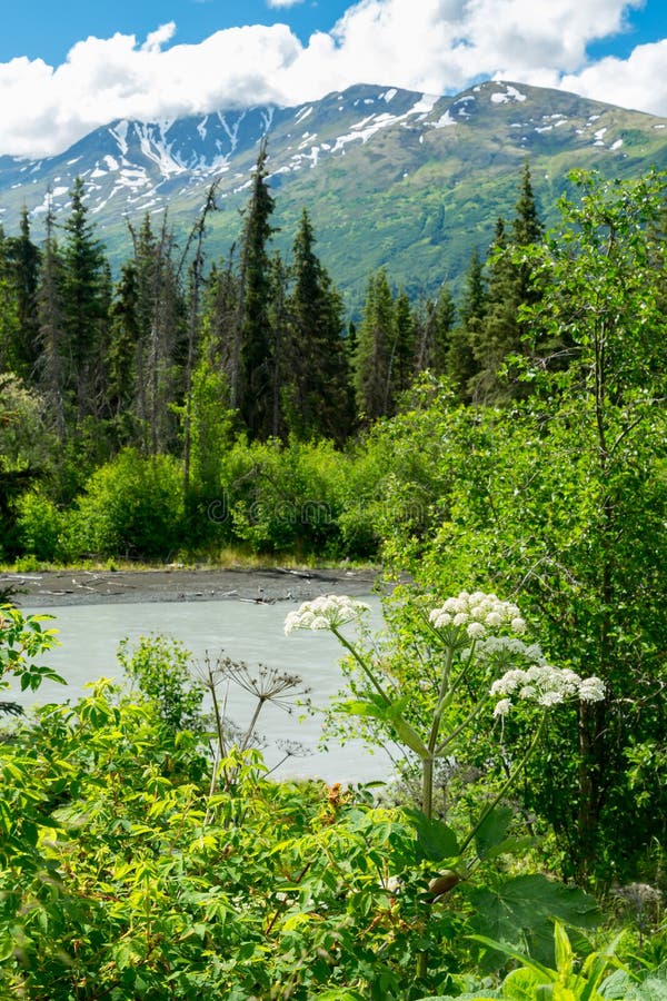 Eagle River Nature Center stock photo. Image of center - 39935726