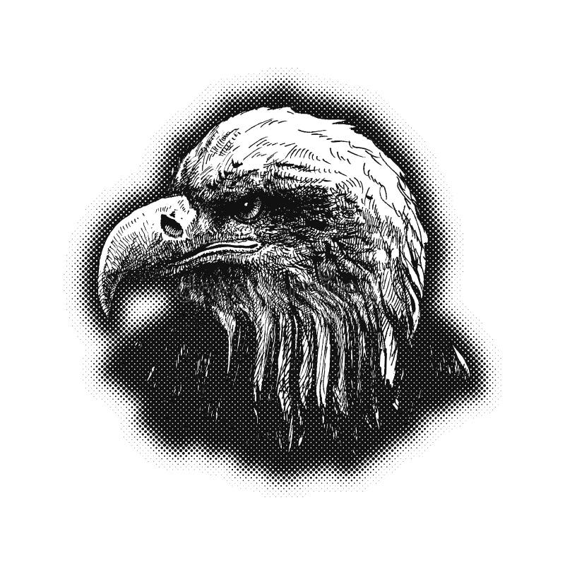 Eagle Silhouettes Vector stock illustration. Illustration of falcon ...