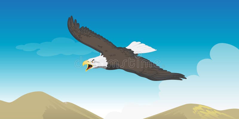 Eagle Soaring stock illustration. Illustration of bird - 1342261