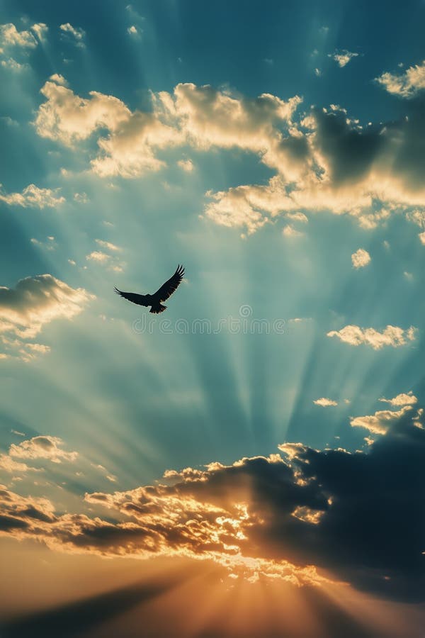 Eagle Soaring in a Colorful Sky at Sunset with Rays of Light and ...