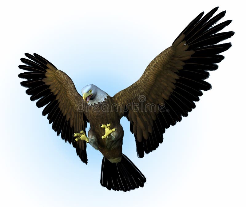 Eagle Swooping Down - Includes Stock Vector - Illustration of hunter ...