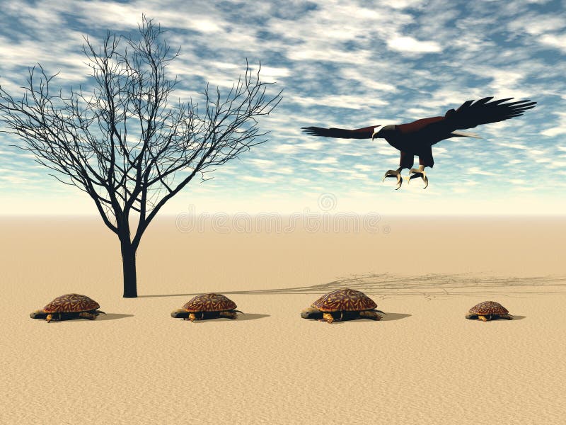 Eagle and turtle stock illustration. Illustration of look - 28590581