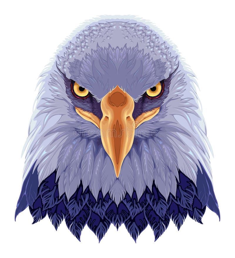 Eagle Frontal View, Vector Isolated Animal Stock Vector - Illustration ...