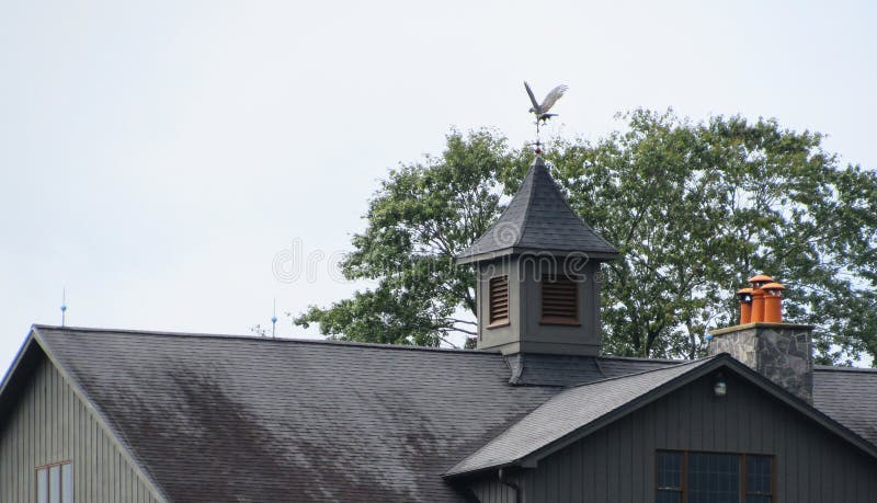Eagle weathervane stock photo. Image of building, tower - 255831006