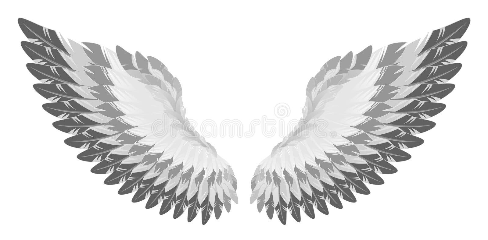 Eagle Wing Vector Illustration Stock Vector - Illustration of black ...