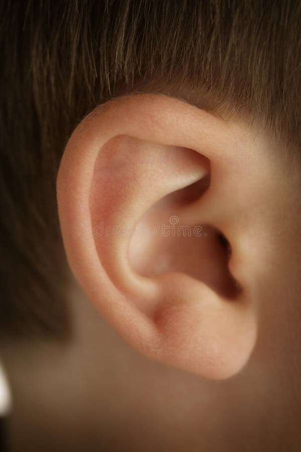 Ear stock photo. Image of hear, auricle, girl, listen - 10209526