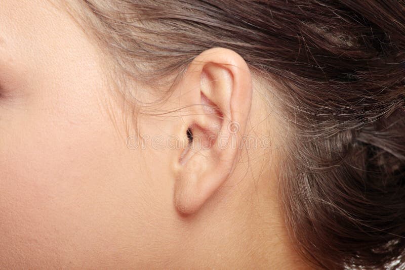 Woman ear stock image. Image of listen, white, sense, female - 6367095