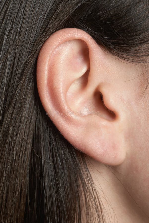 Ear stock image. Image of lady, caucasian, healthcare - 18388195
