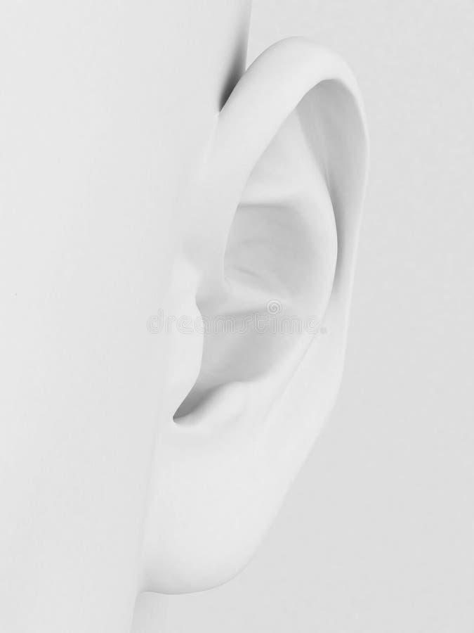 Ear Female Stock Illustrations – 8,467 Ear Female Stock Illustrations ...