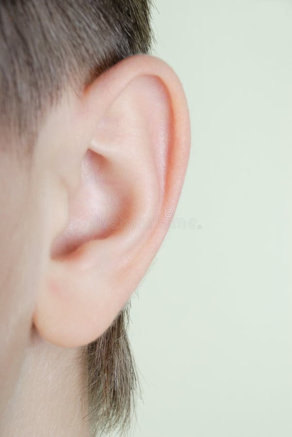 Man with pierced ear. stock photo. Image of nonconformity - 2045390