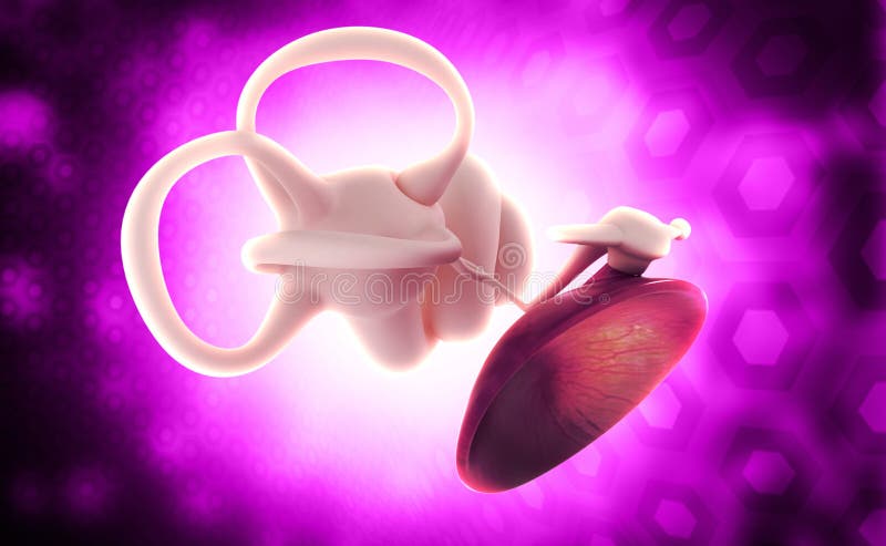 External Perception Stock Illustrations – 86 External Perception Stock ...