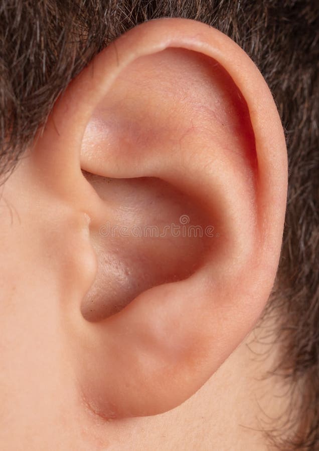 Ear on the boyâ€™s head stock image. Image of young - 187514559