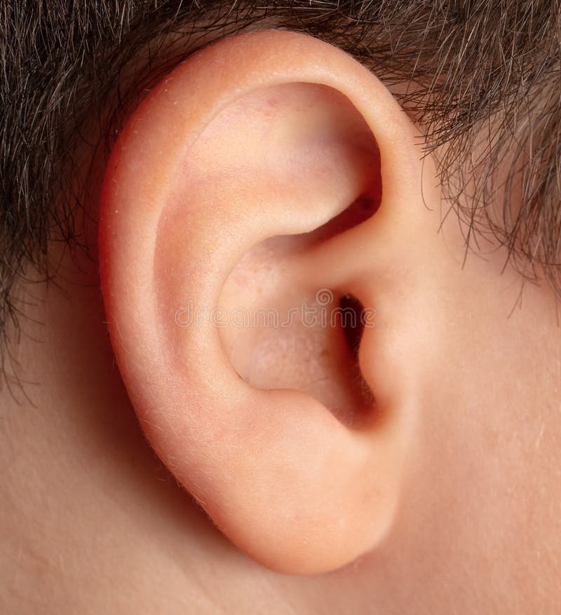 Ear on the boy’s head stock image. Image of male, medicine - 188828813