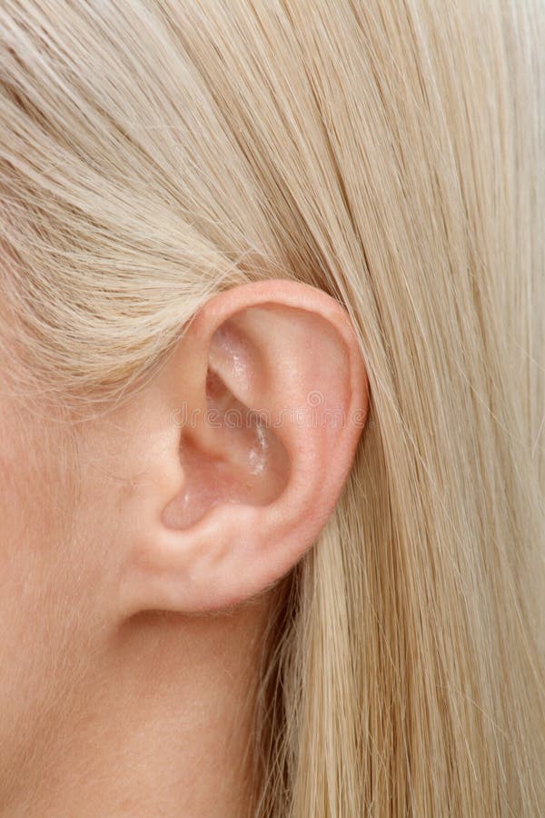Ear close-up stock image. Image of pretty, adult, medical - 28845793