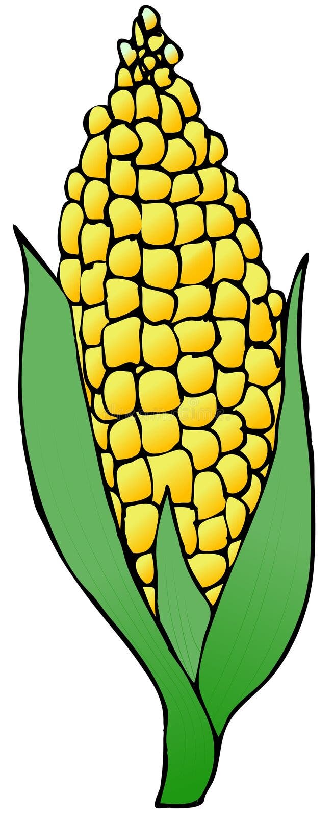 Cartoon Corn Ear Stock Illustrations – 2,500 Cartoon Corn Ear Stock ...