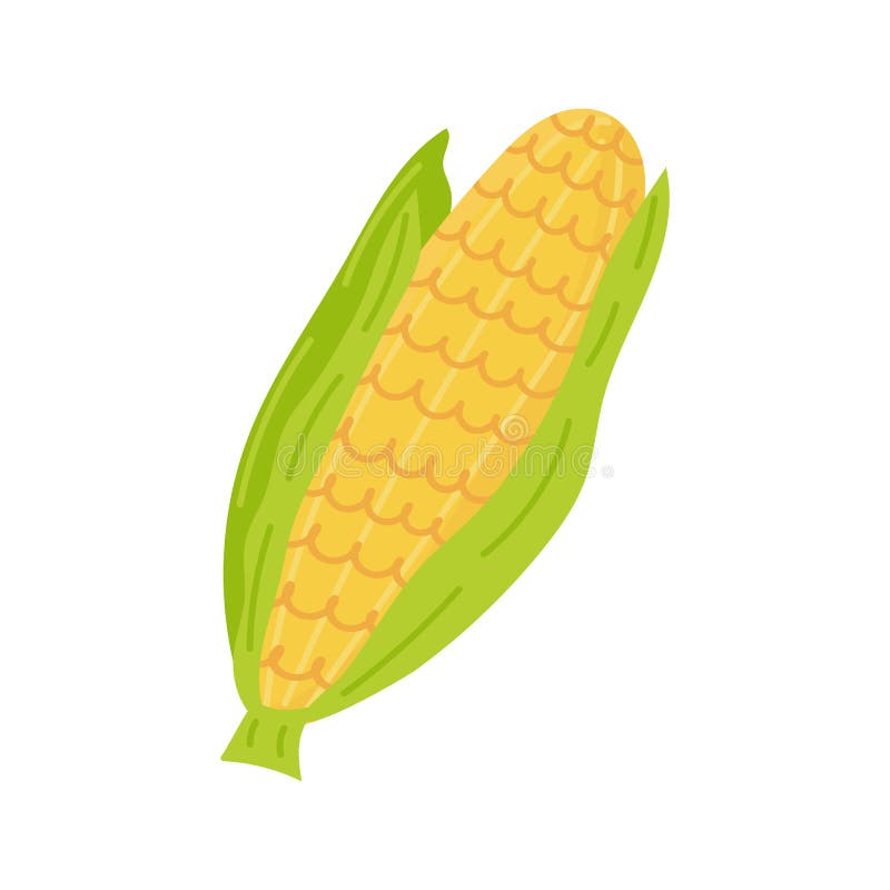 Ear of Corn Doodle Isolated on White Background. Stylized Product Stock ...