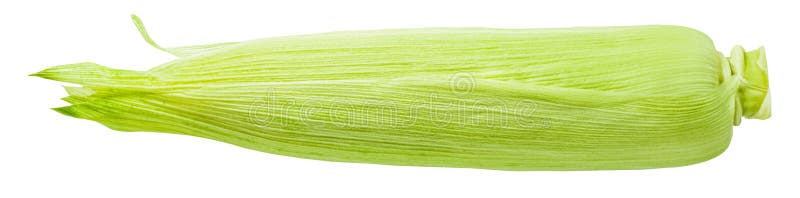 Ear of Corn Isolated on White Background Stock Image - Image of grain ...