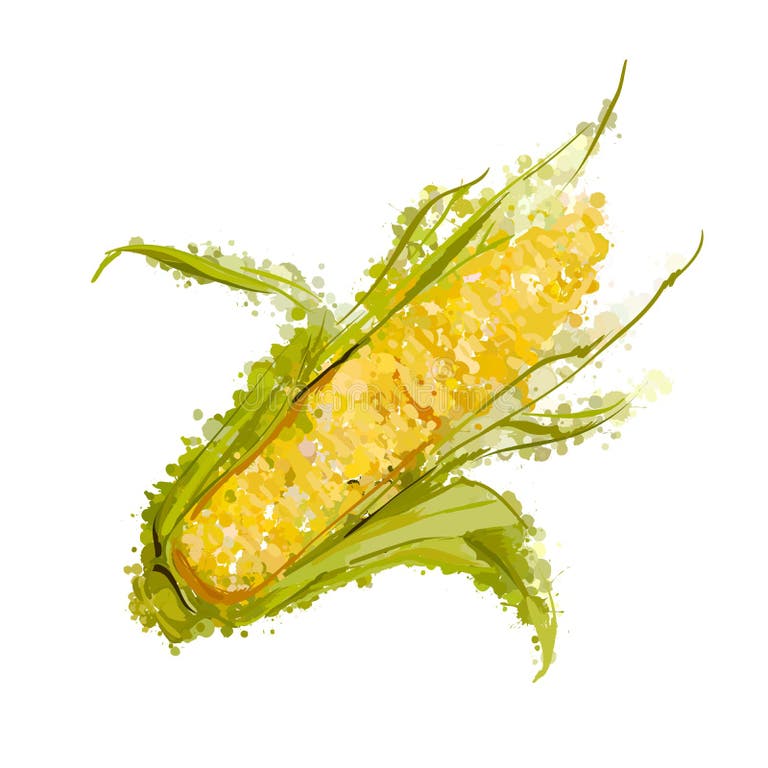 Ear Corn Stock Illustrations – 20,541 Ear Corn Stock Illustrations ...