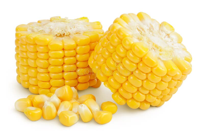 Ear of Corn Isolated on a White Background with Full Depth of Field ...