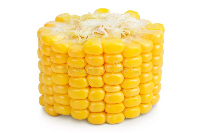 Ear of Corn Isolated on a White Background with Full Depth of Field ...