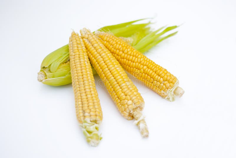 Ear of Corn with Leaves stock image. Image of floral - 43873091