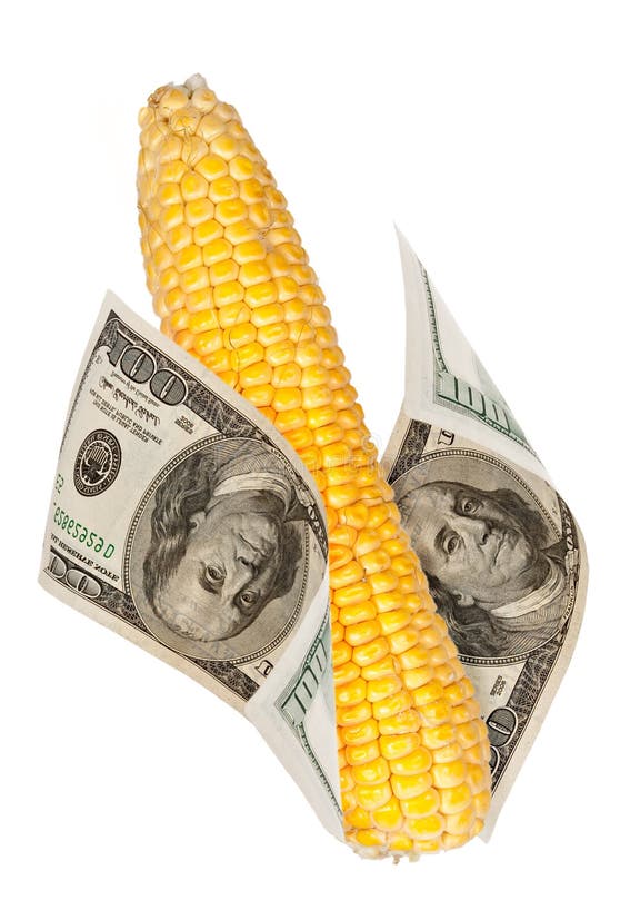 An Ear of Corn with the Money Stock Photo - Image of harvest, food ...