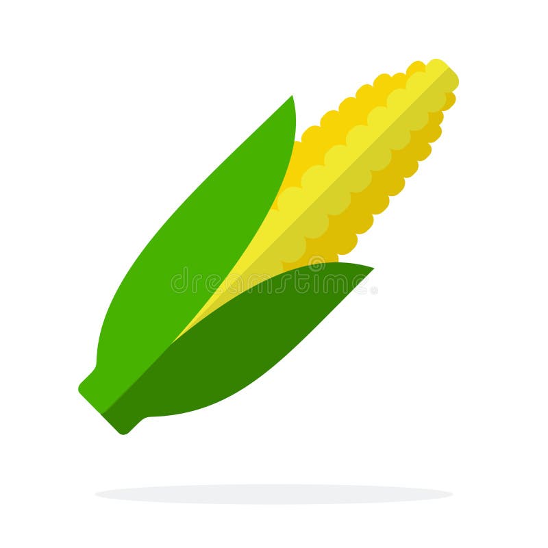 Ear of Corn Vector Flat Material Design Isolated Object on White ...