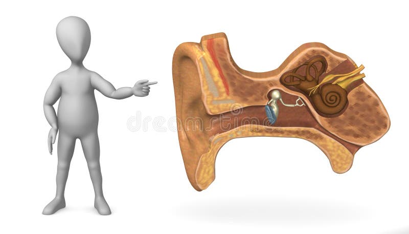 Ear cut stock illustration. Illustration of character - 13656641