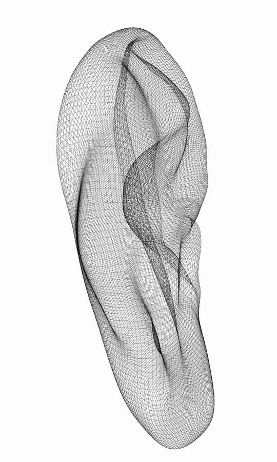 Ear digital model stock illustration. Illustration of drawing - 126407392