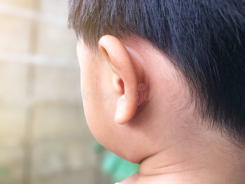Ear of Fat Asian Boy and he Looking Something Stock Photo - Image of ...