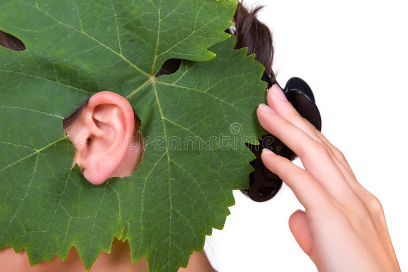 Ear in green leaf stock image. Image of closeup, human - 67323993