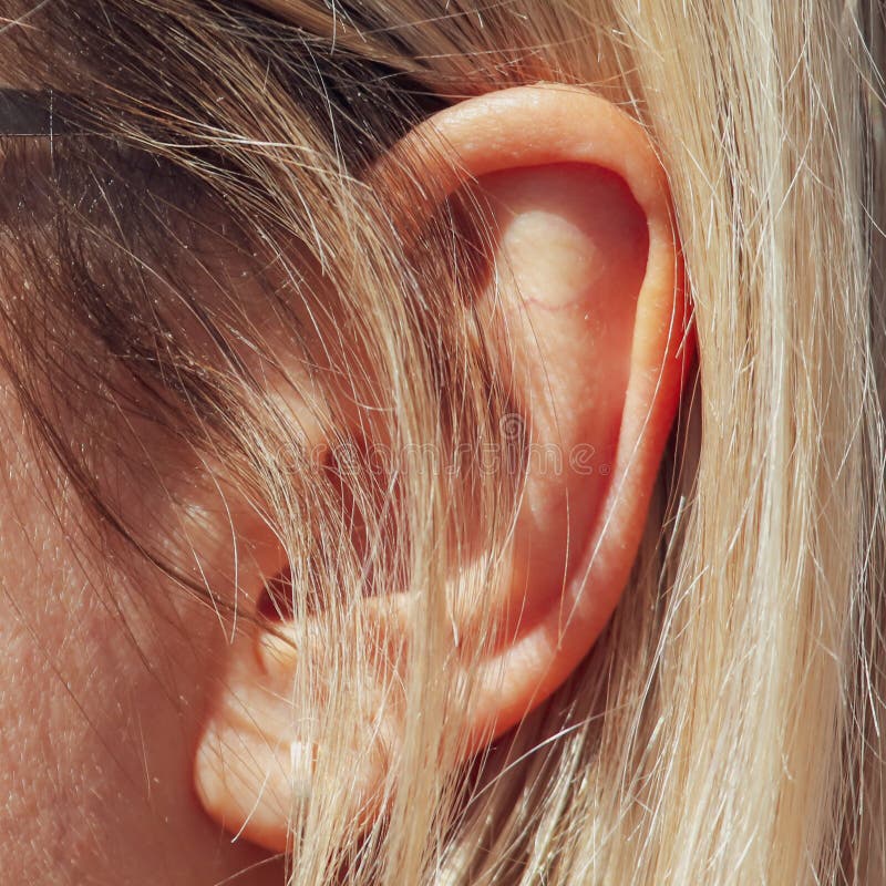 Ear on the head of a woman stock photo. Image of auricle - 139345802